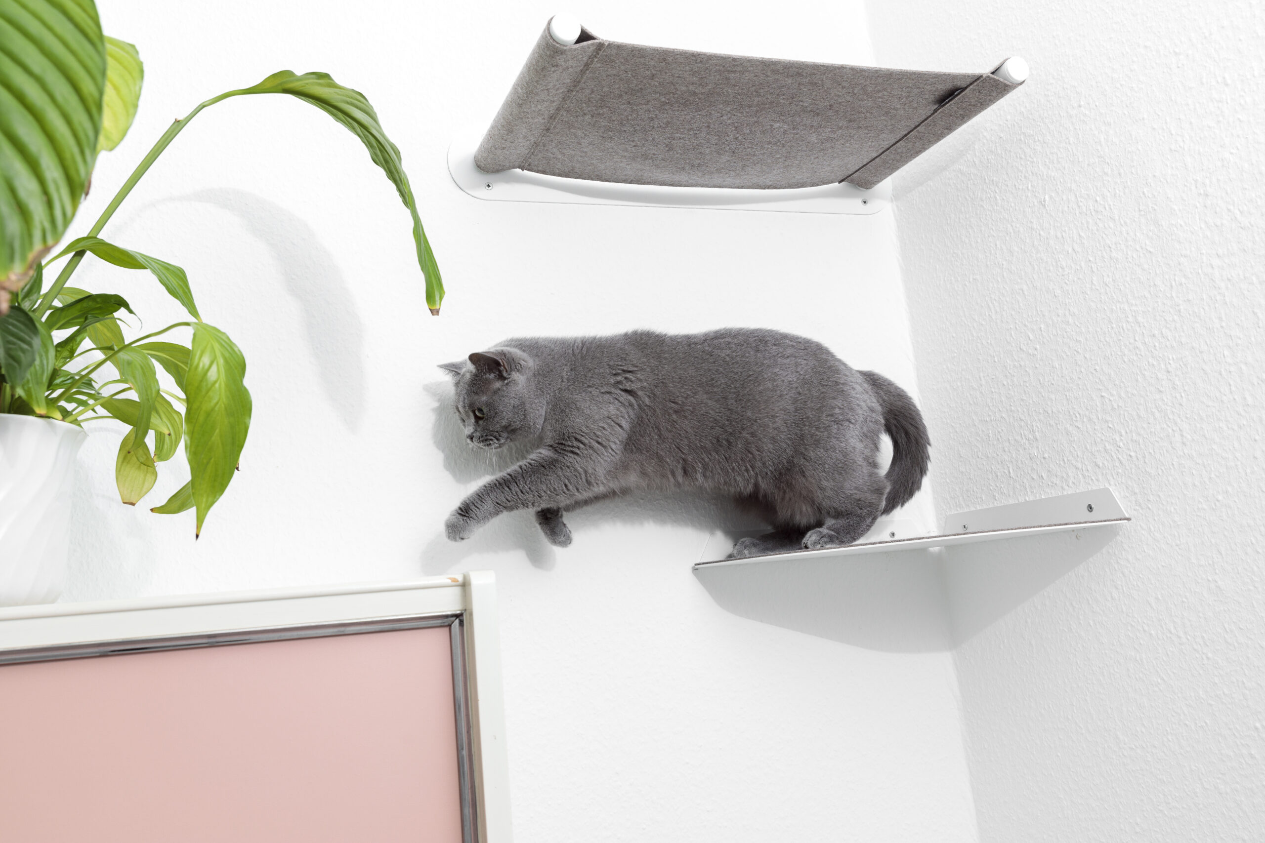 Mein Lieblingsstück: Katzenwand von LucyBalu | WOHNIDEE